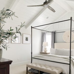 Antonia Metal Canopy Bed Pottery Barn