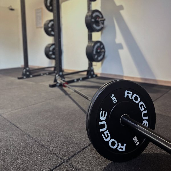 barbell hack squat attachment