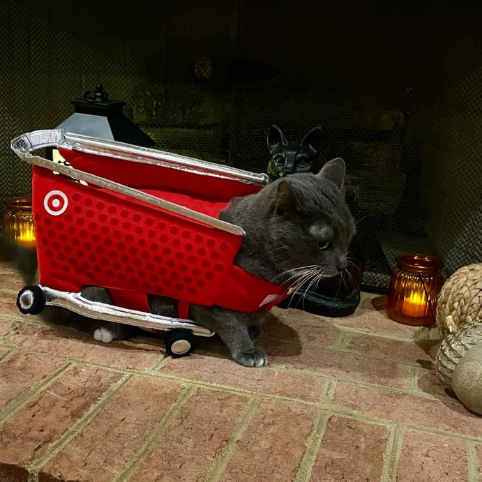 #TargetStyle : Target Finds