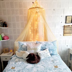 bed canopy with lights