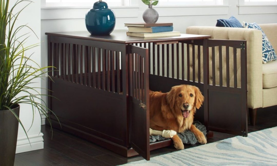 What Is The Right Size Kennel For A Dog