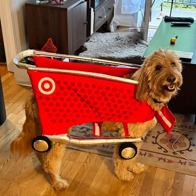 #TargetStyle : Target Finds