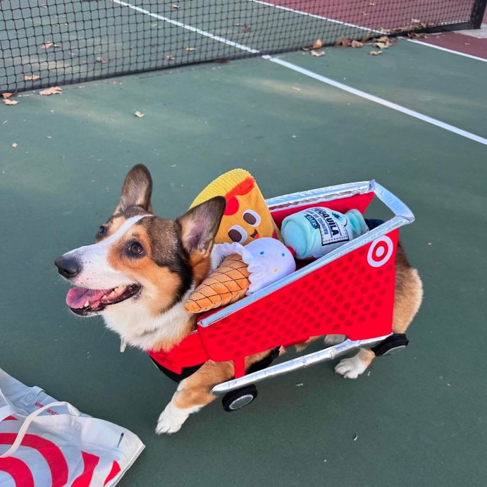 #TargetStyle : Target Finds