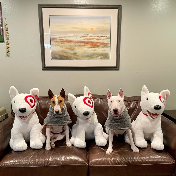 #TargetStyle : Target Finds