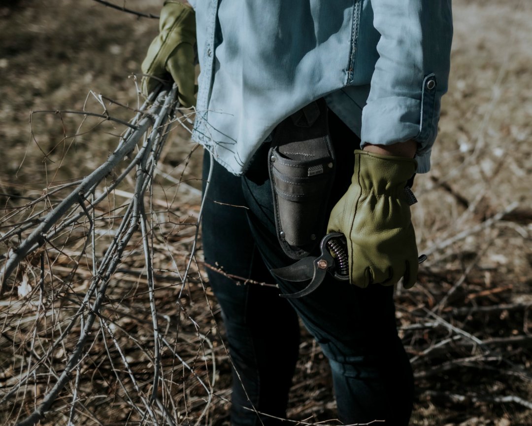 An Easy Guide to Spring Pruning – Barebones Living