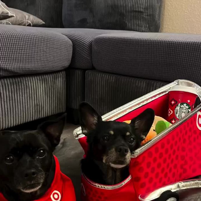#TargetStyle : Target Finds