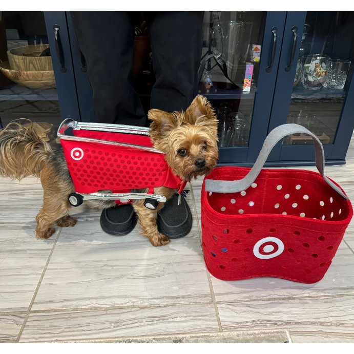 #TargetStyle : Target Finds