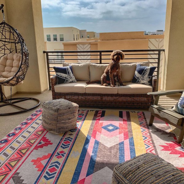 Best Rugs For Dogs: Pet Friendly Rugs And Dog Rugs | Pet Friendly Area ...