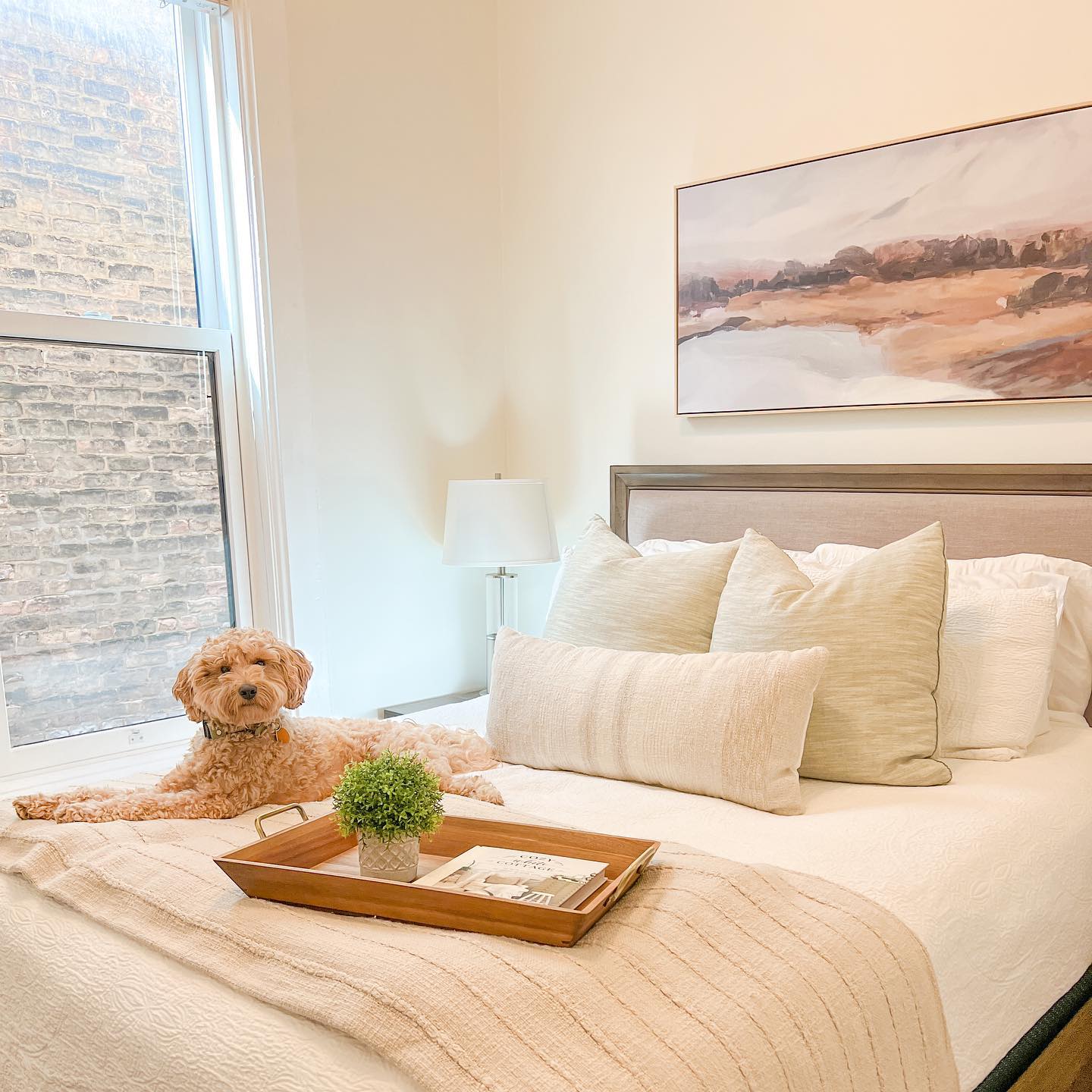 All the ways to celebrate National Pet Day. : finds-ideas : Target Finds