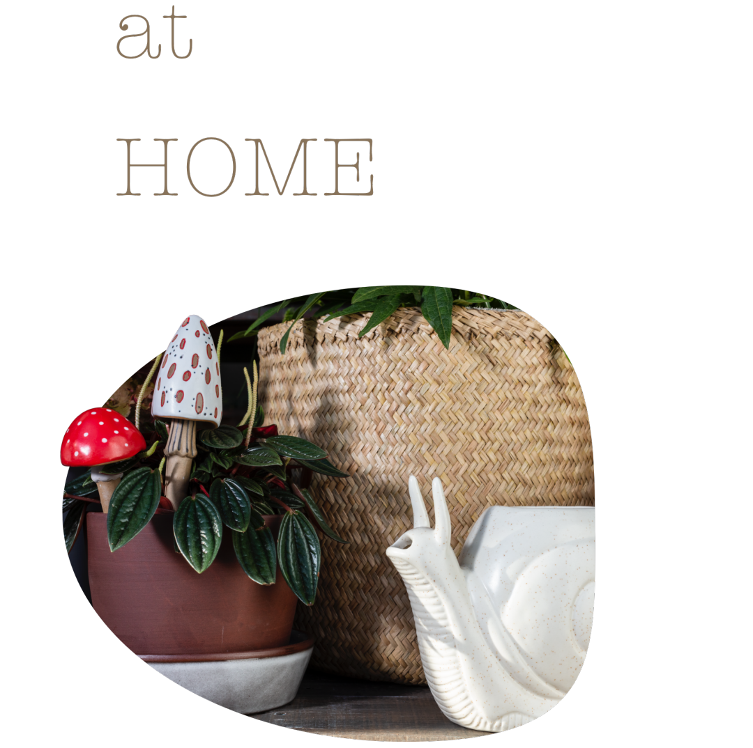 Abloom | Accent Decor