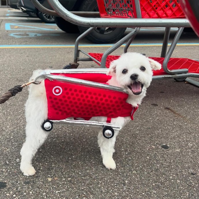 #TargetStyle : Target Finds