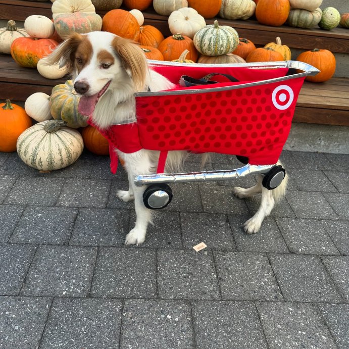 #TargetStyle : Target Finds