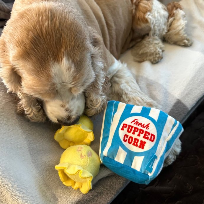 #TargetStyle : Target Finds