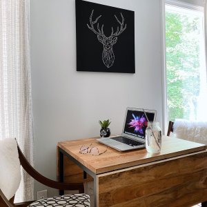 Box Frame Drop Leaf Expandable Table 24 48 West Elm