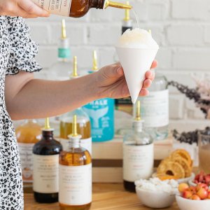 Shaved Ice Machines The Big Freeze Hawaiian Ice Shaver & Snow Cone ...