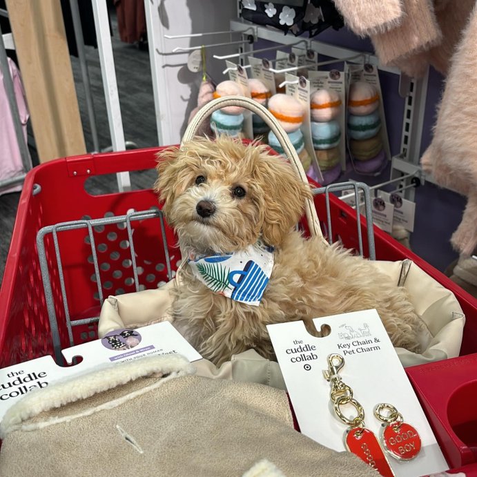 #TargetStyle : Target Finds