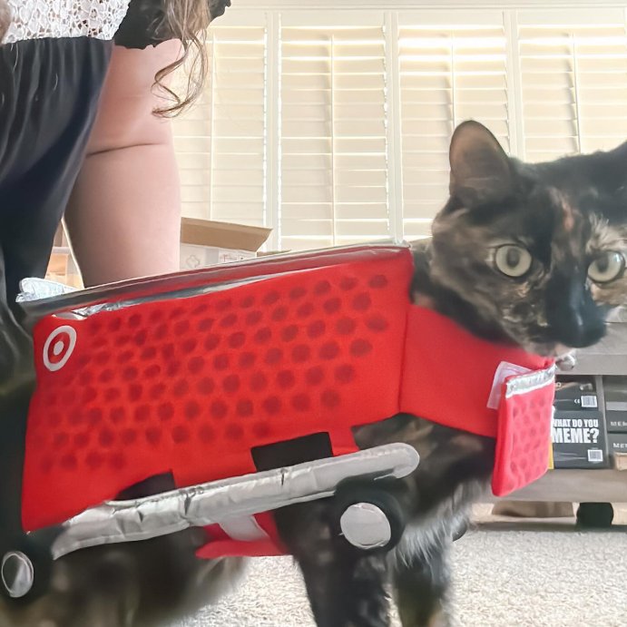 #TargetStyle : Target Finds