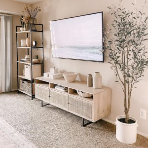Dolores cane media console store