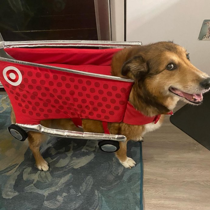 #TargetStyle : Target Finds