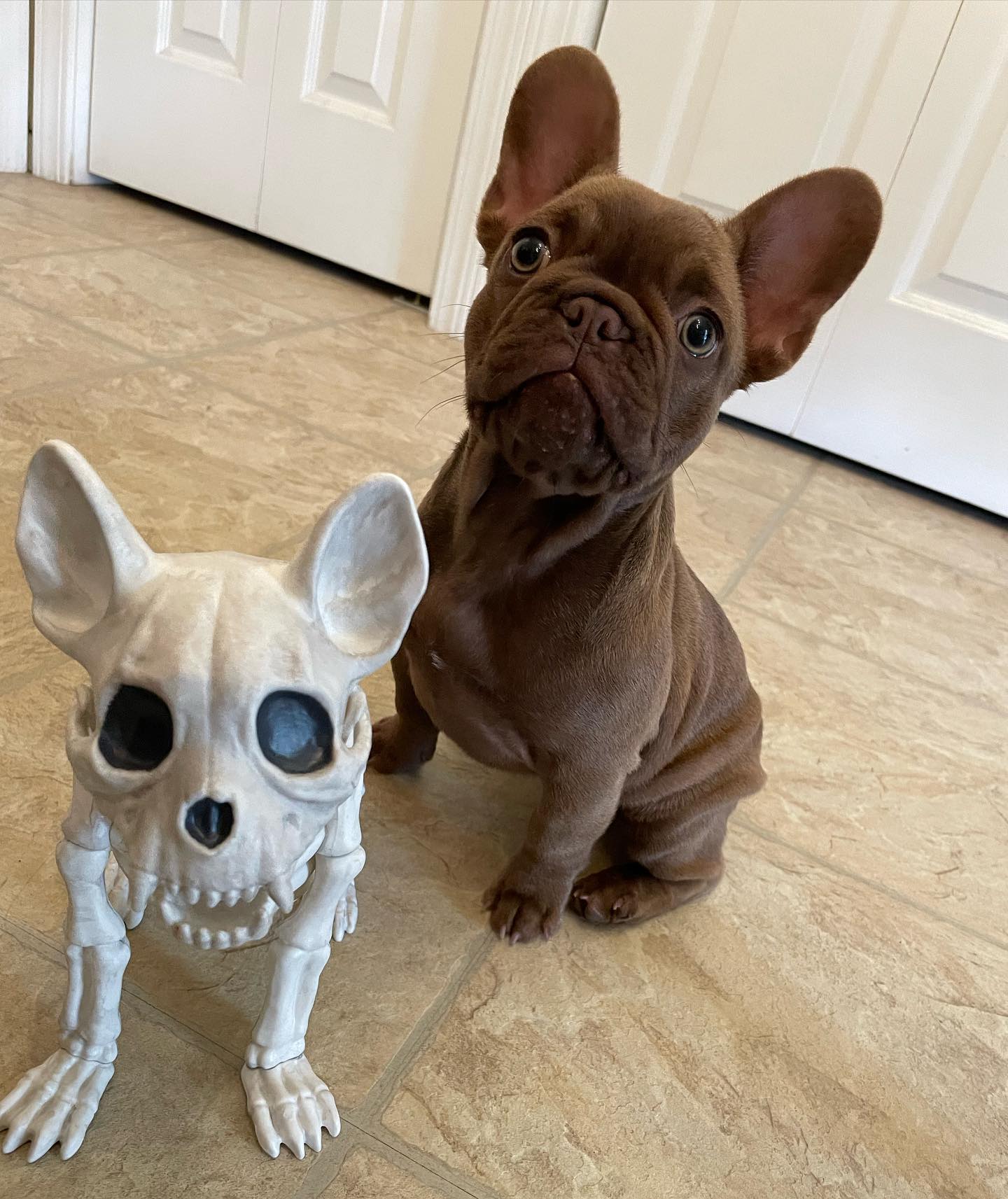 #TargetStyle : @rejuvenative : Target Finds