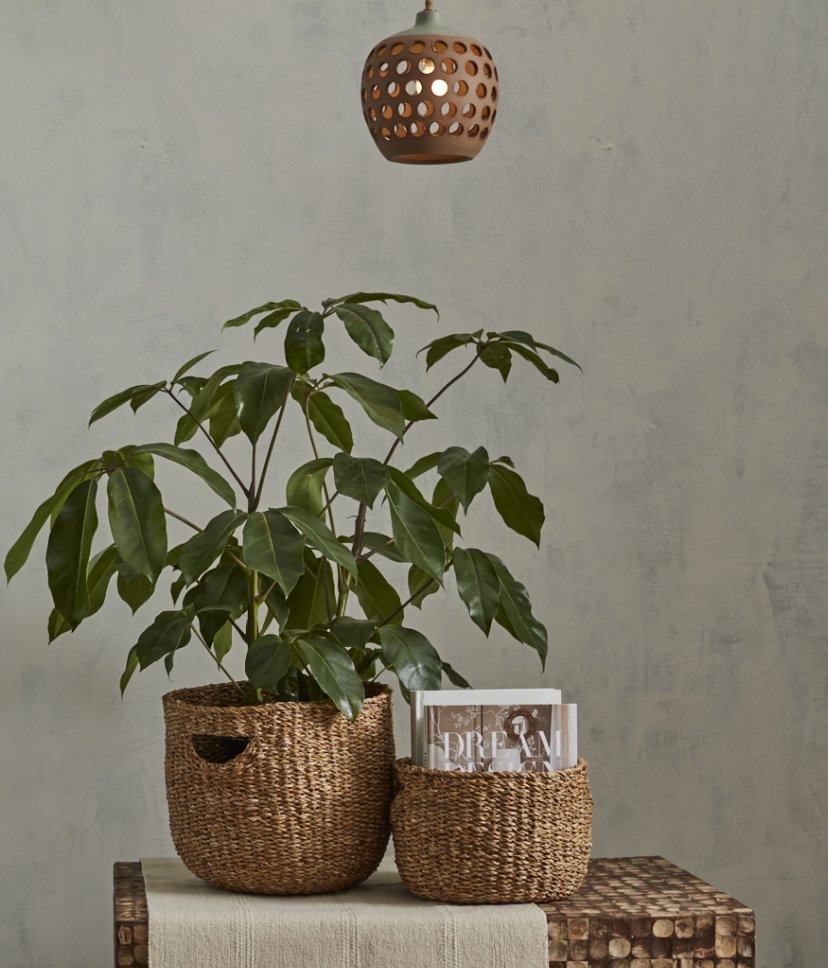 Home Page | Accent Decor