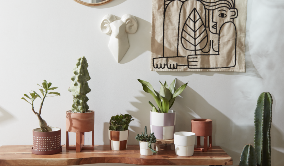 View All Pots & Planters | Accent Decor