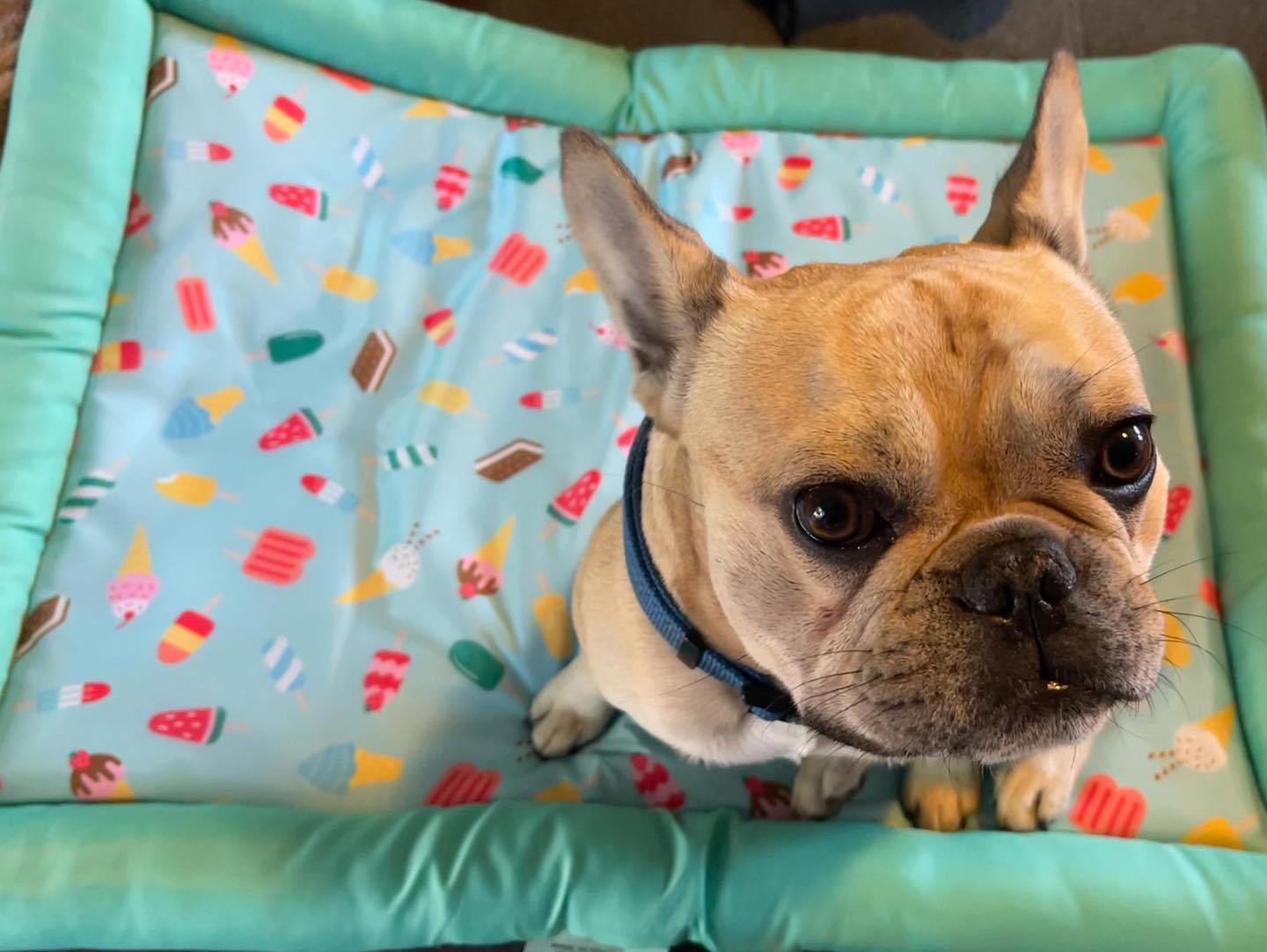 4 one-of-a-kind ways to celebrate Valentine’s Day. : finds-ideas ...