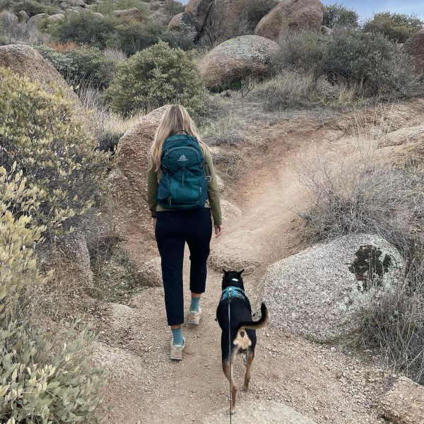 gregory 24l backpack